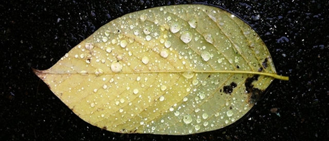 Waking up to see Christ–reflection on the transfiguration by Father ...